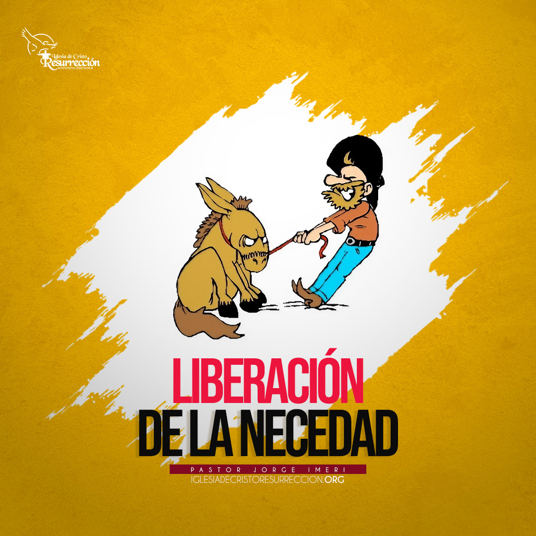 Liberación de la necedad